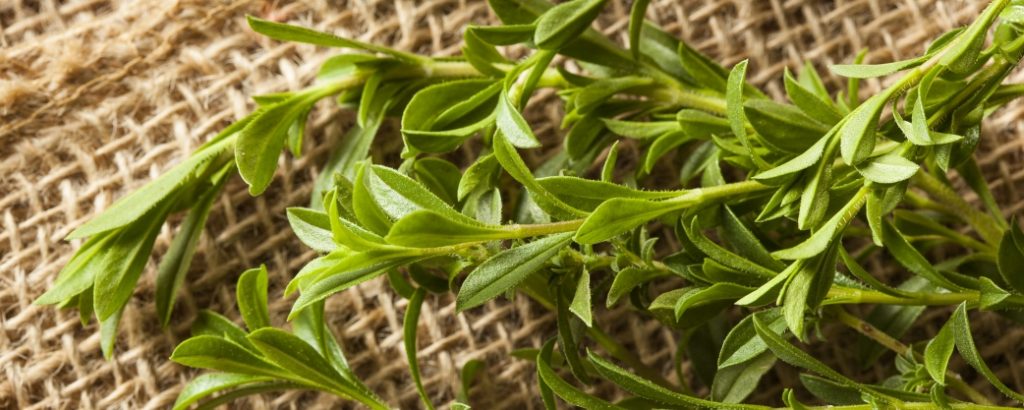 Top 6 Health Benefits of Bulgarian Savory Chubritsa – Bulgarian Cooking