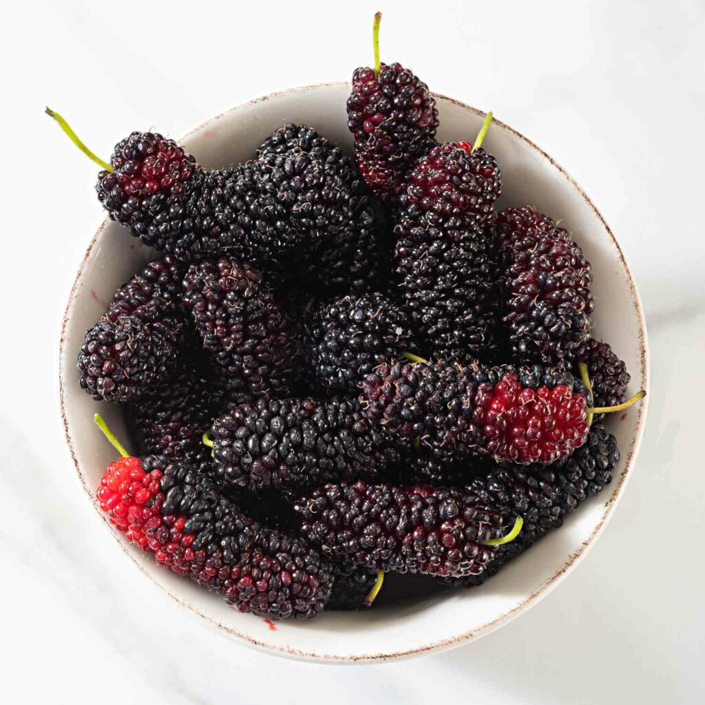 No Pectin Mulberry Jam Recipe – Bulgarian Cooking
